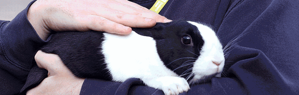 Cambridge Regional College - Introduction to Animal Care - Vocational ...
