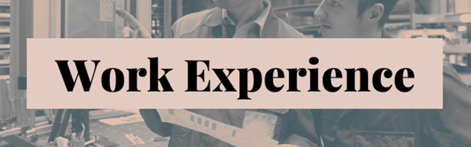 Work Experience